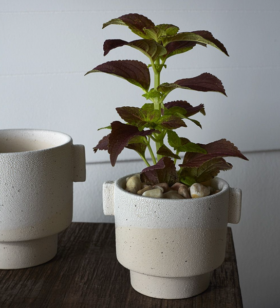 Milton Pot | Rebel Villa